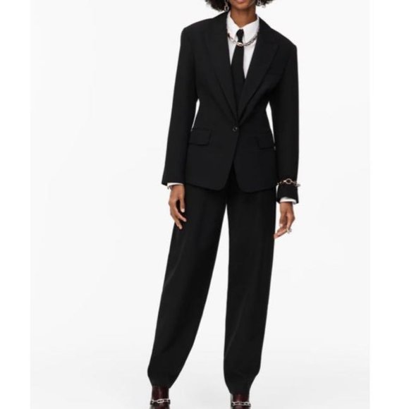 Zara | Pants & Jumpsuits | Zara Collections Limited Edition Suit Pants ...